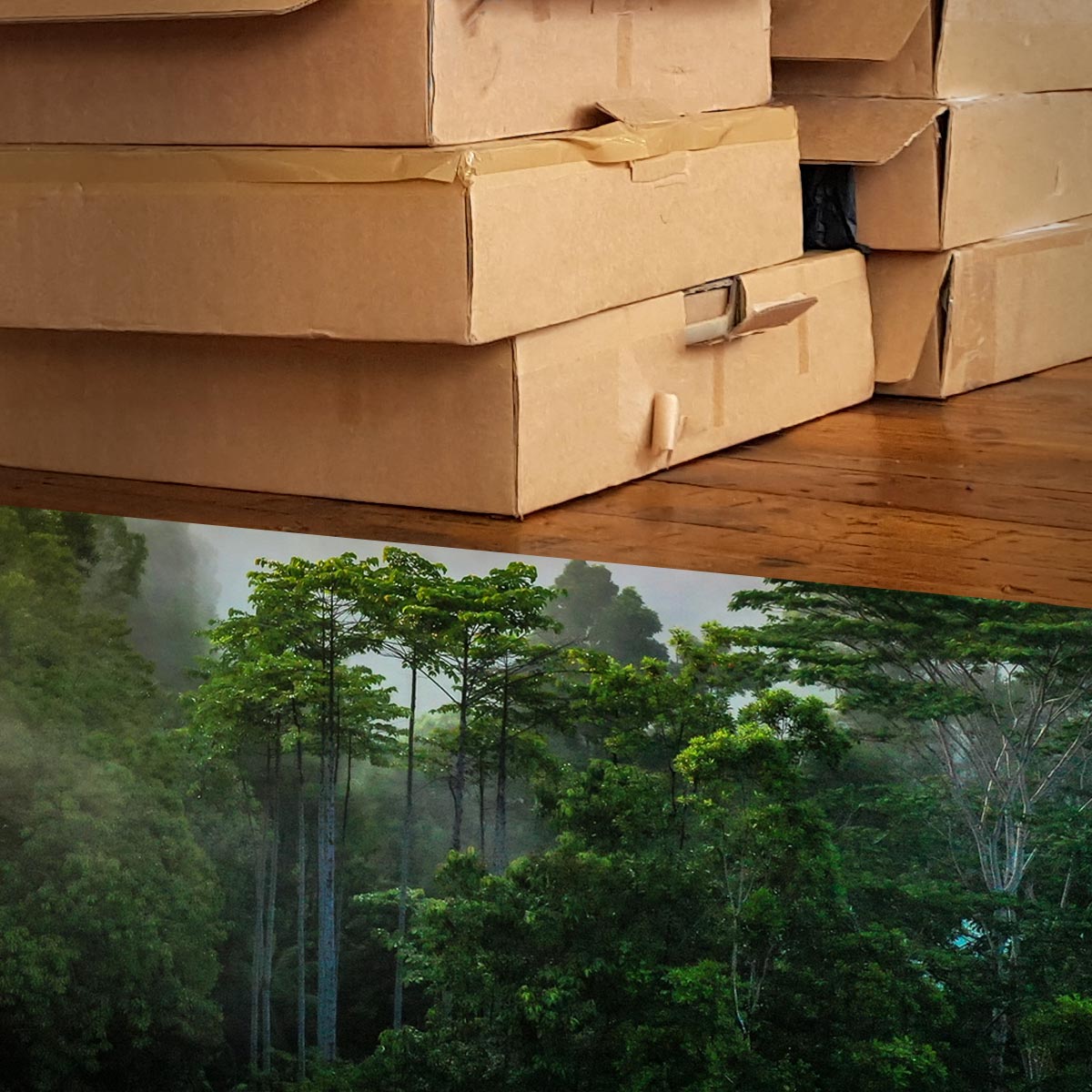 Turning one preloved box, into two trees in the rainforest - McNair shirts
